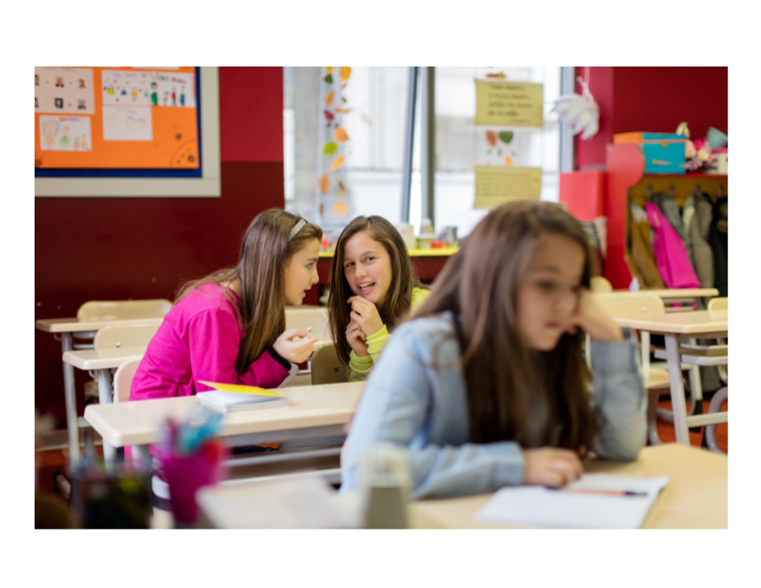 I Was a Bully: Lessons for Youth on Breaking the Cycle - YouthSpeak